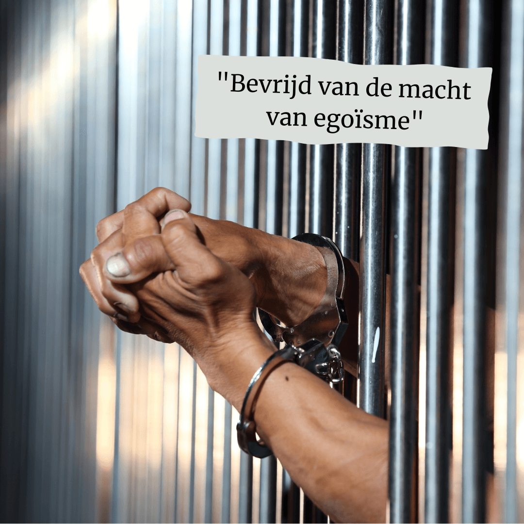 Bevrijd van de macht van egoïsme - StudieBijbel